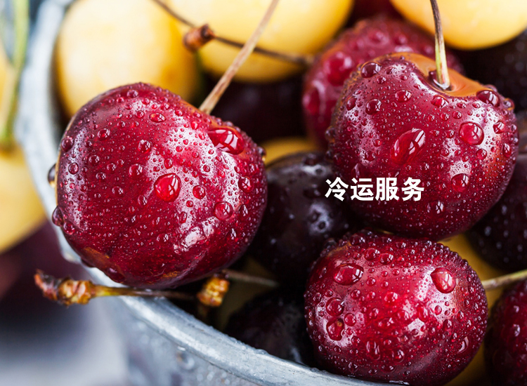 Listing of /v1/AUTH_strapi-ESG-OWF-CORE/root/.gallery/express/